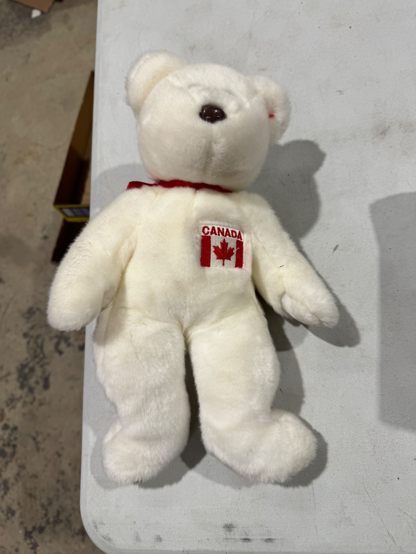 Canada bear