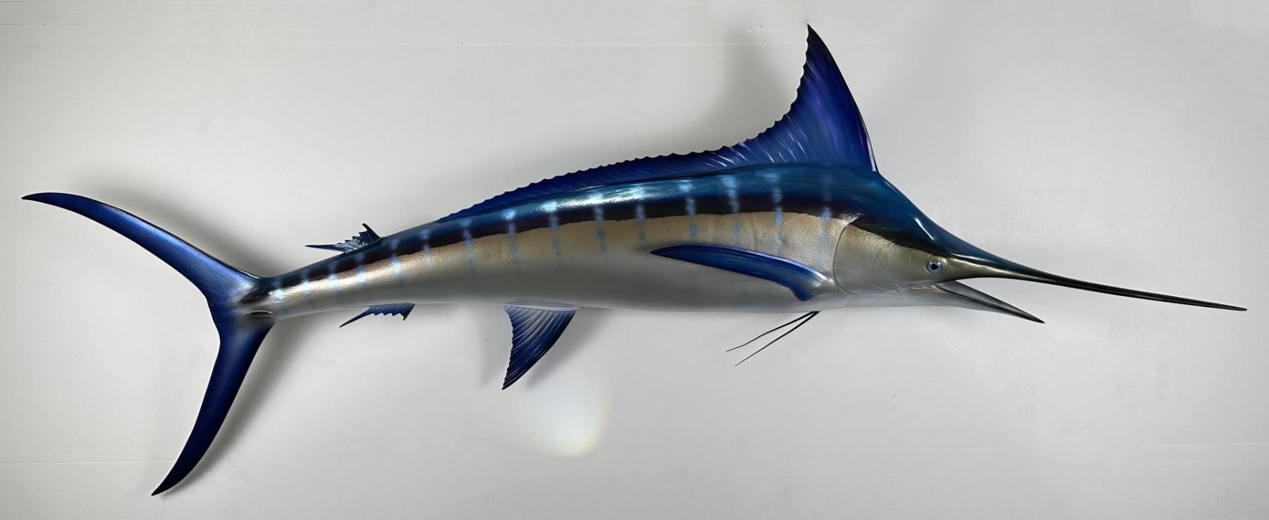 Gigantic Taxidermy Blue Marlin Mount