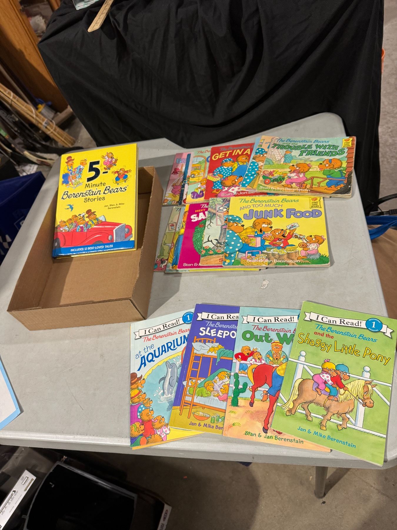 The. Berenstain bears books