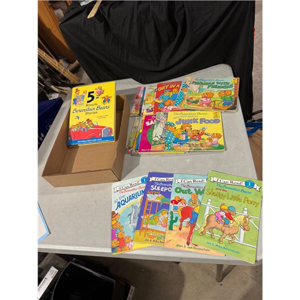 The. Berenstain bears books