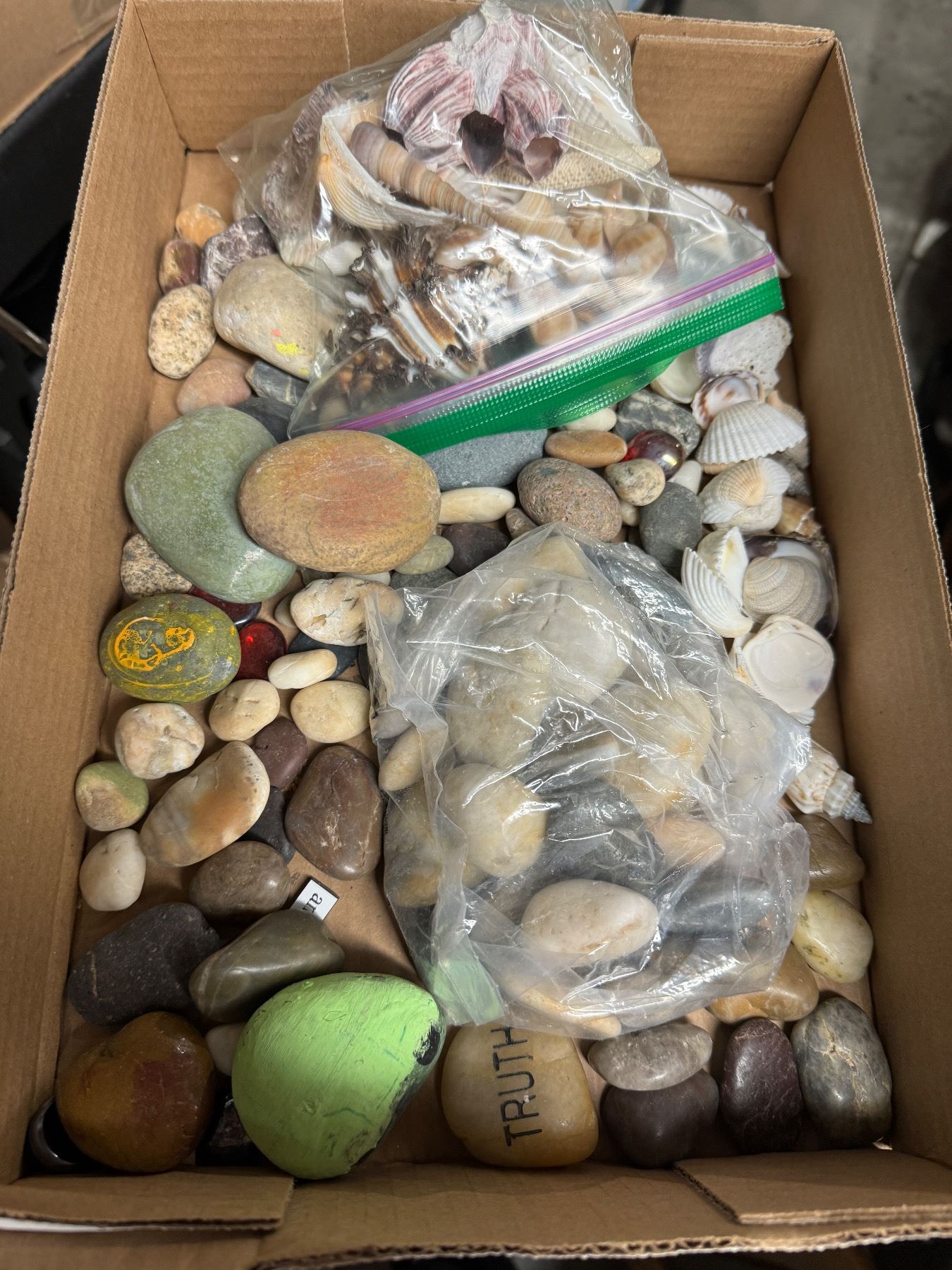 Rocks and shells
