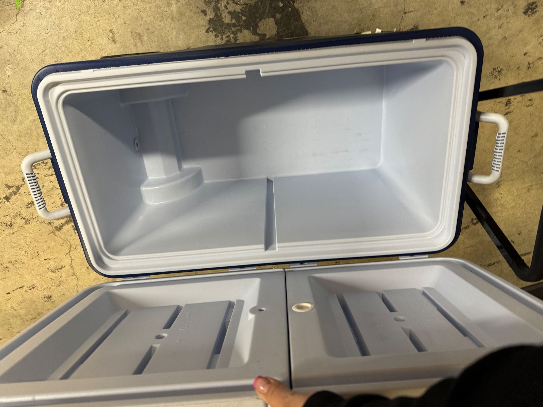 Rubbermaid cooler