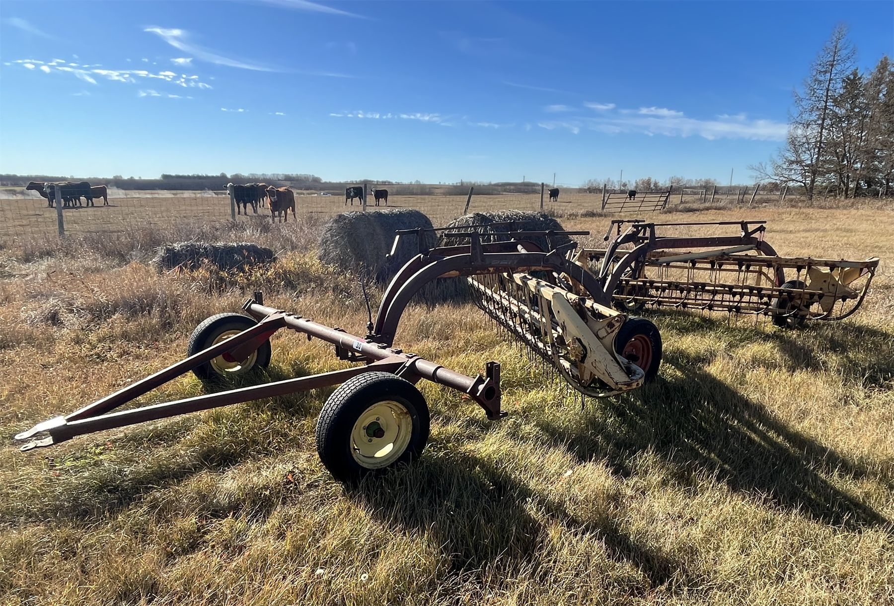 New Holland 250 two sections of side delivery rake