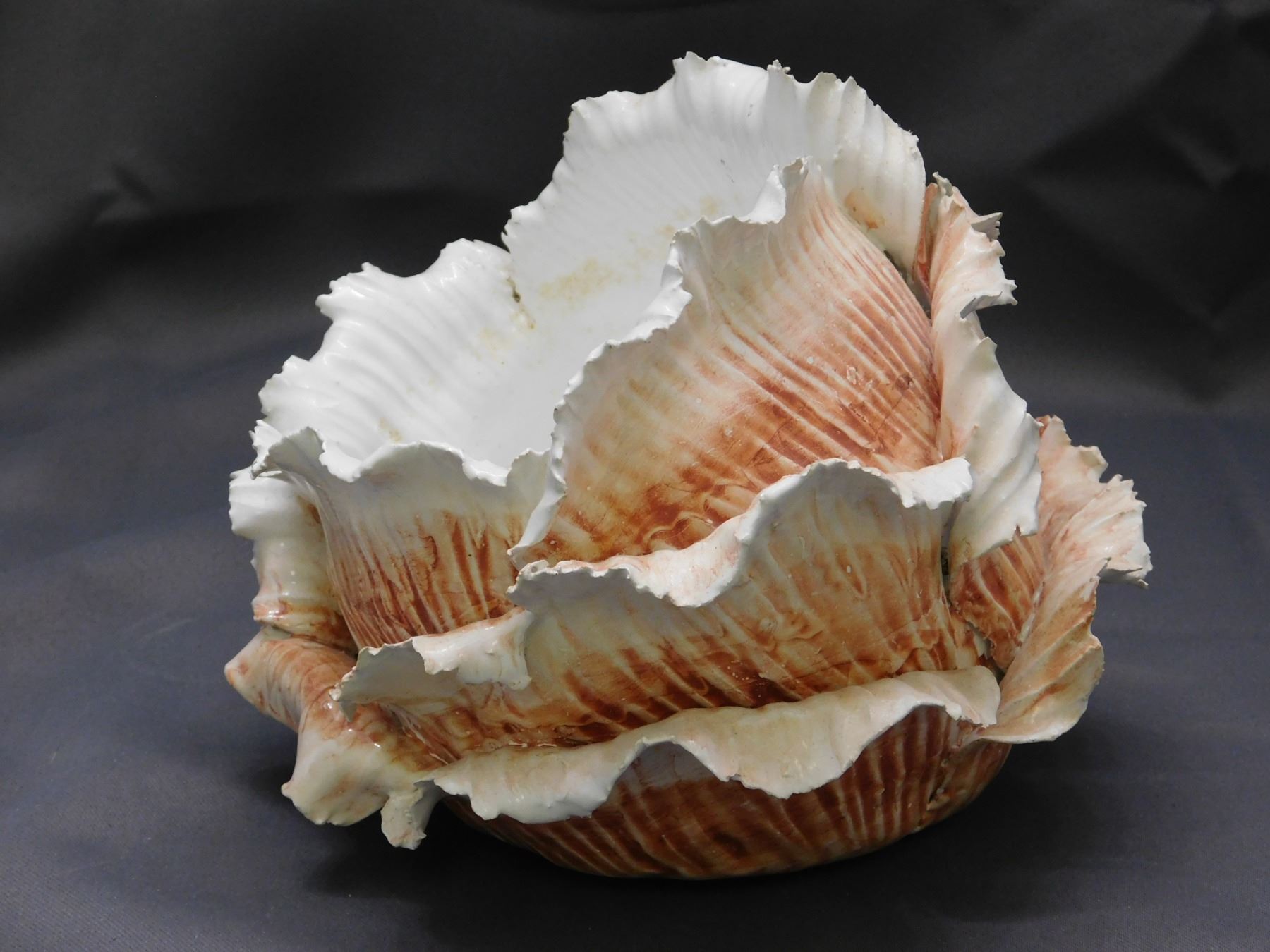 Ceramic Pottery Sculpture Plant Pot Floral / Seashell Design