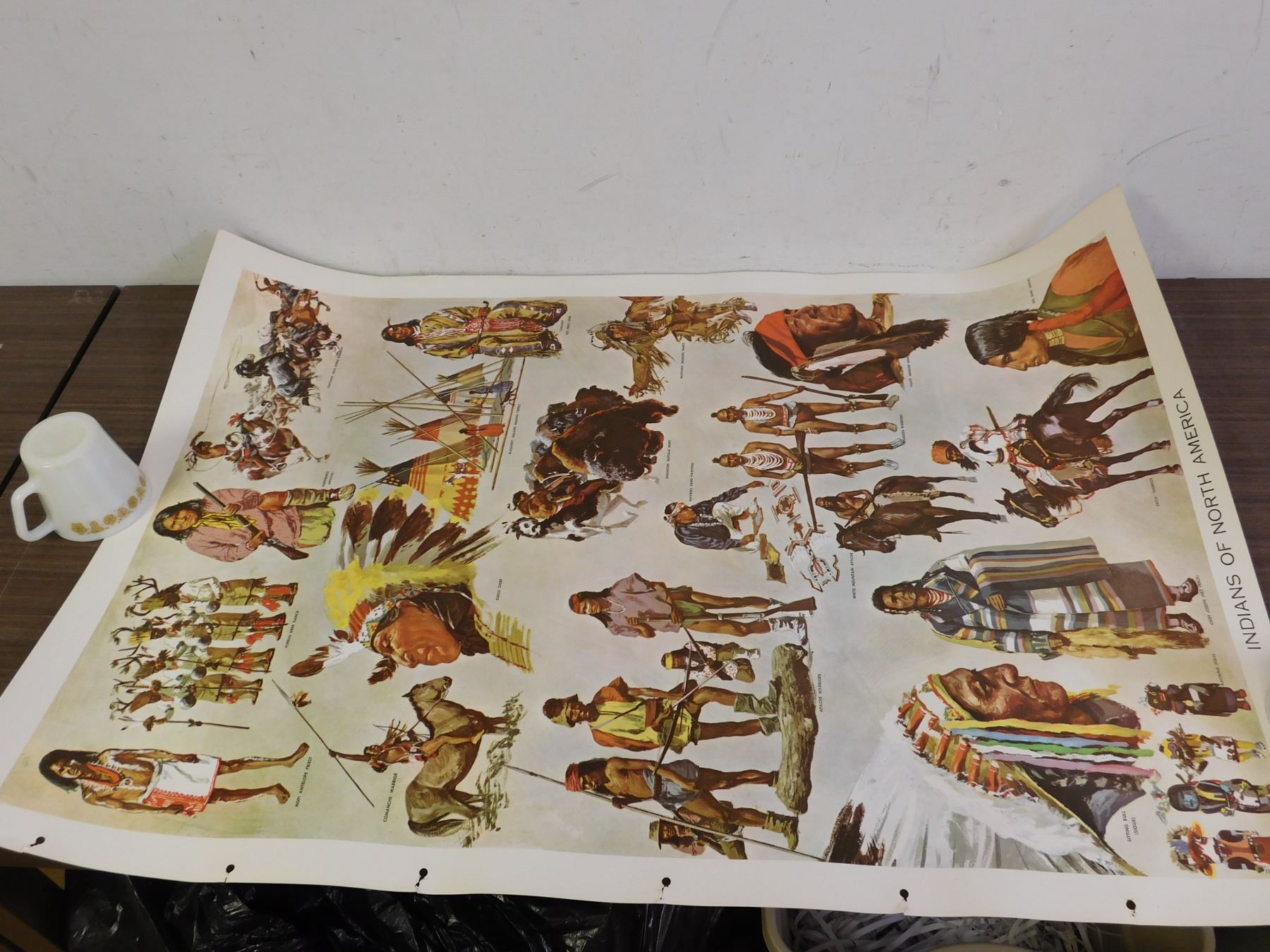 "Indians of North America" Educational Poster 1959