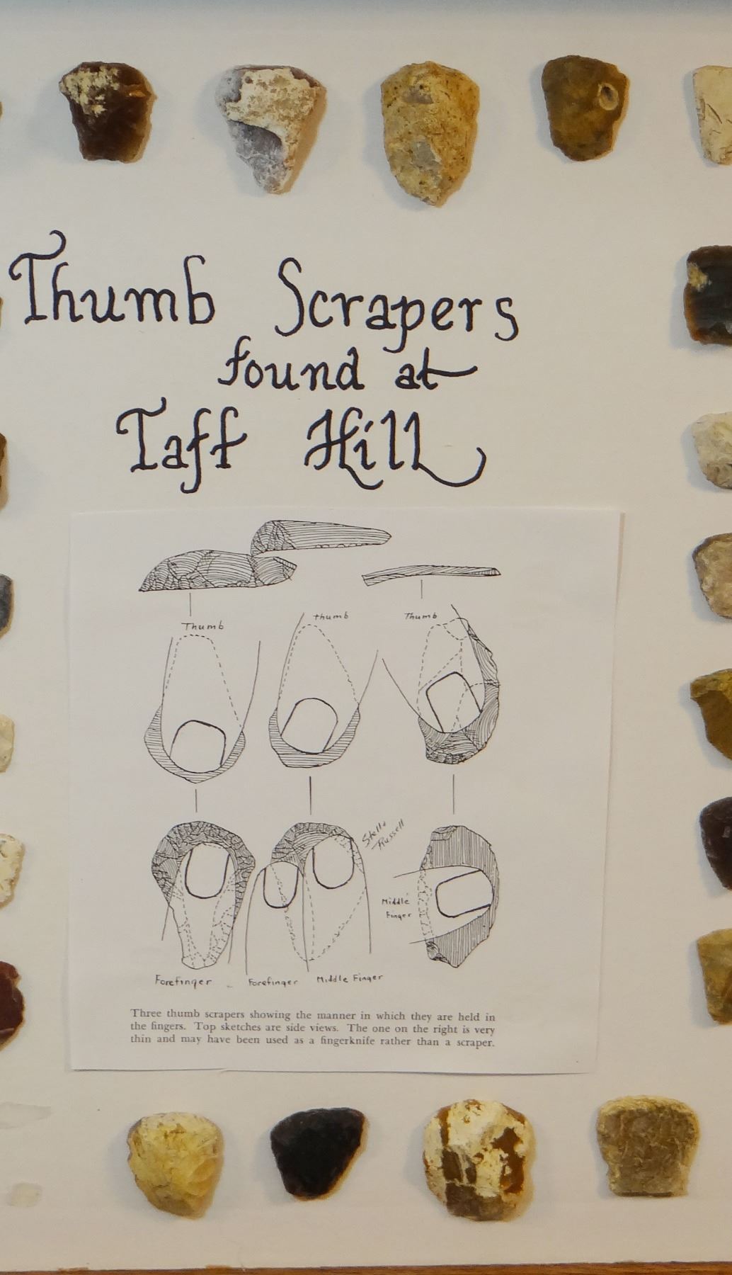 Native American Artifact Frame: 62 stone thumb scrapers, Taft Hill site ...