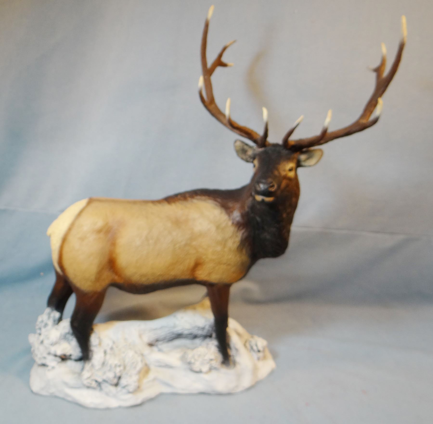 Phelps, Rusty, bronze/plaster sculpture, Bull Elk, 17" h x 22" w x 8" d ...