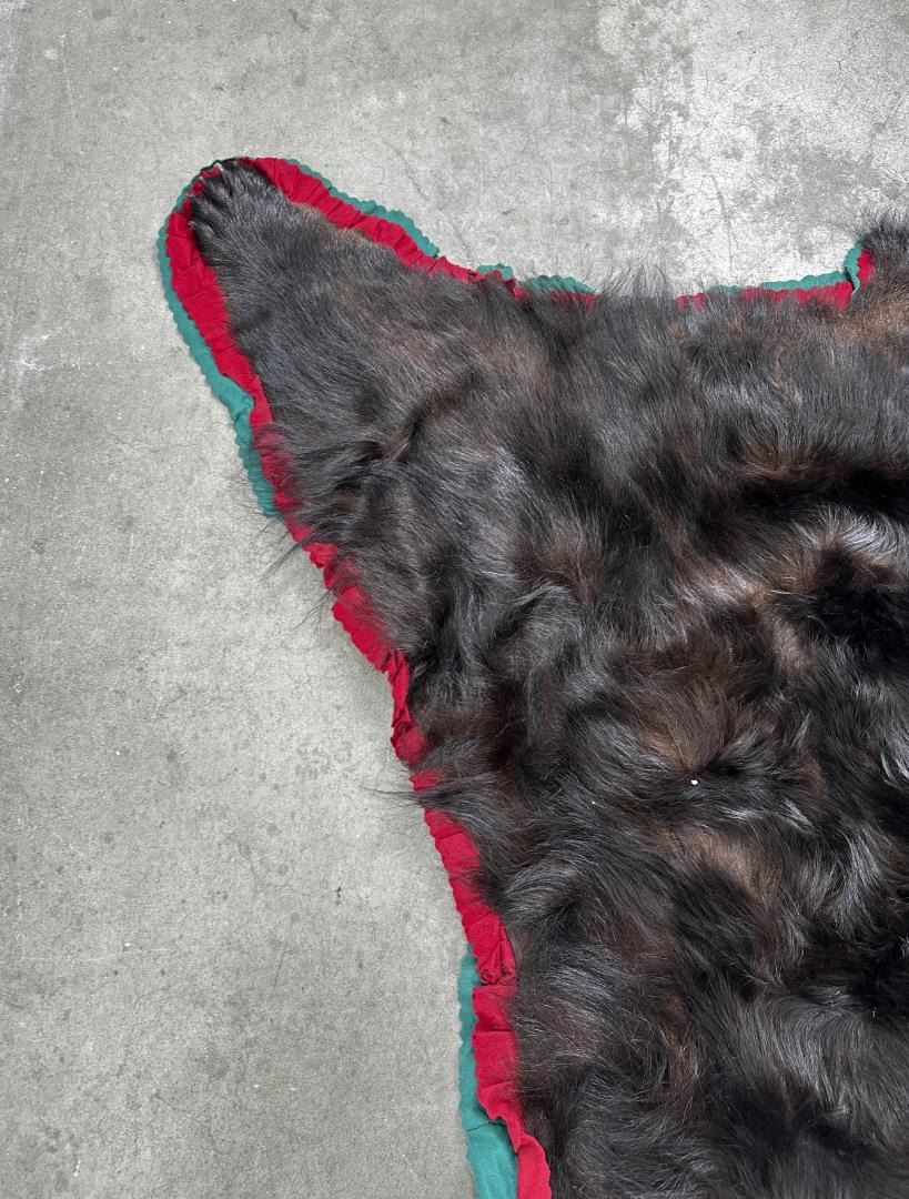Large Montana Taxidermy Black Bear Rug