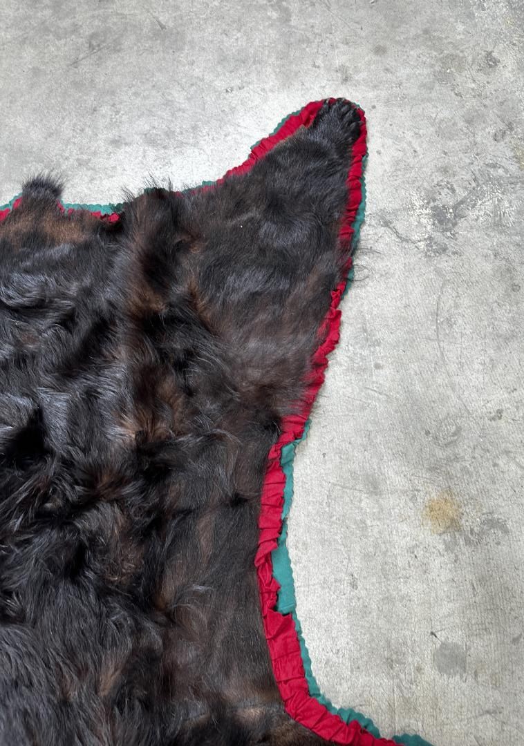 Large Montana Taxidermy Black Bear Rug