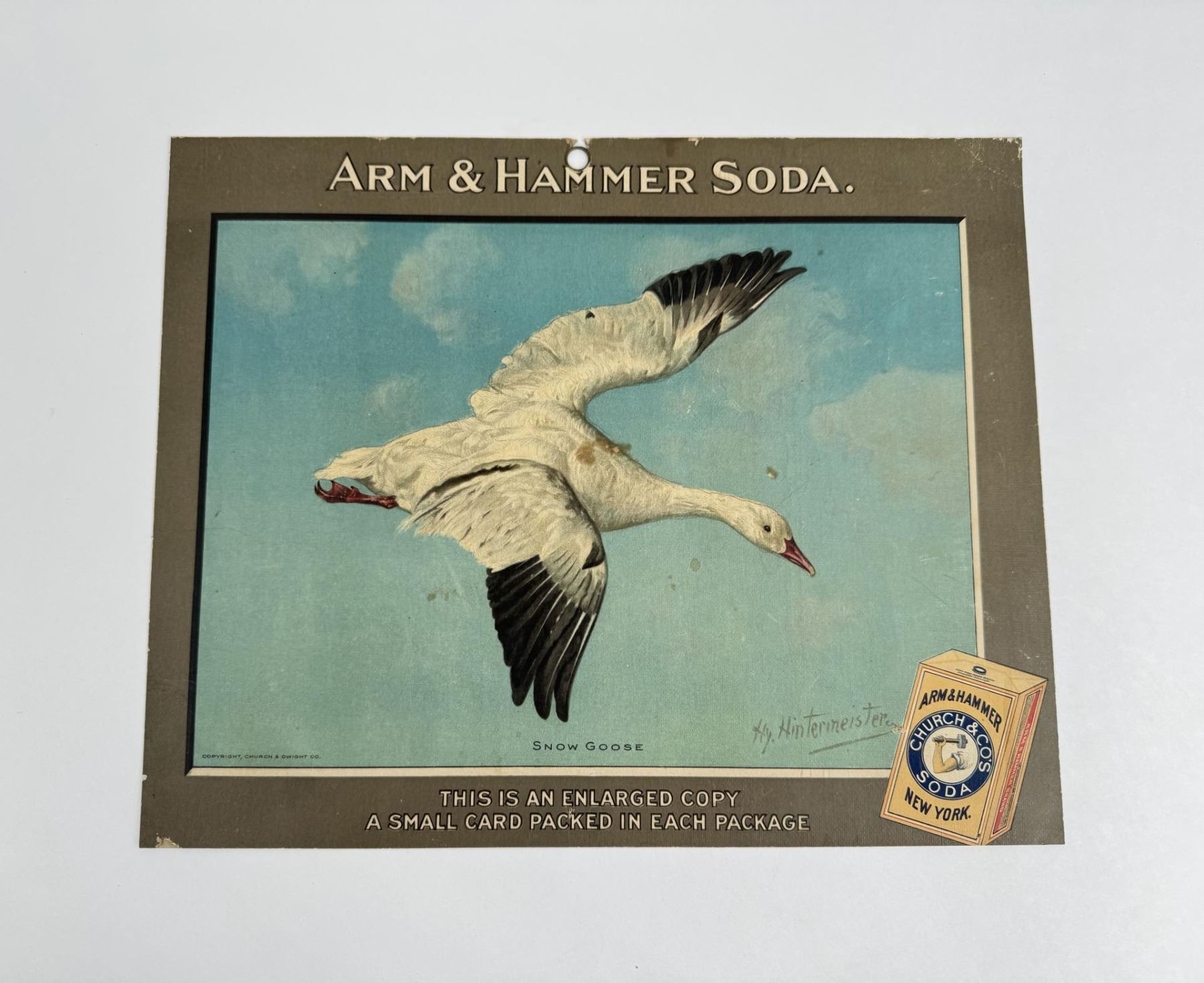Arm & Hammer Church Baking Soda Sign