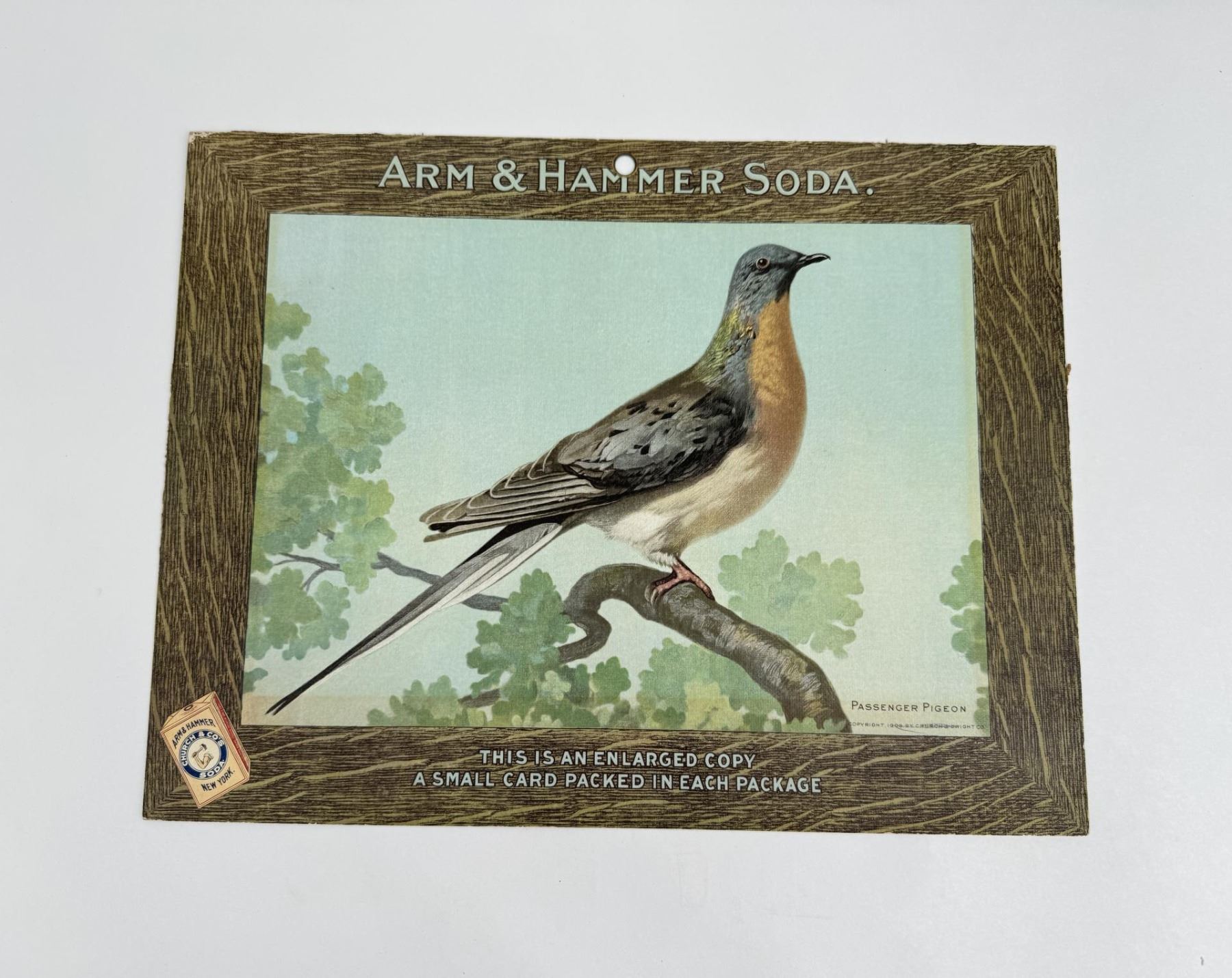 Arm & Hammer Church Baking Soda Sign