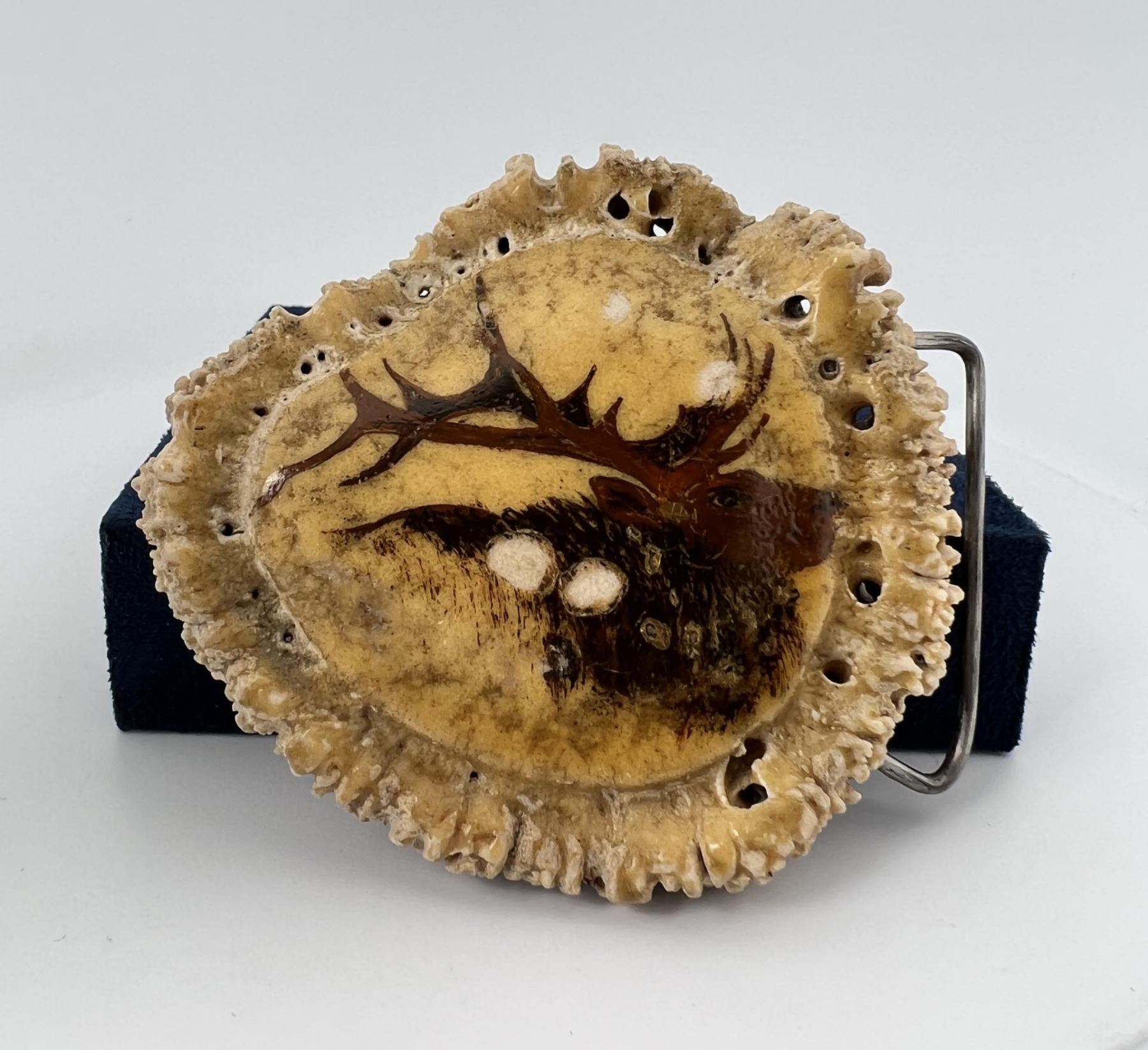 Montana Bull Elk Horn Painted Belt Buckle
