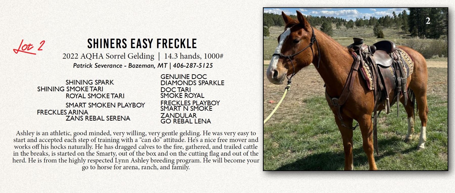 SHINERS EASY FRECKLE