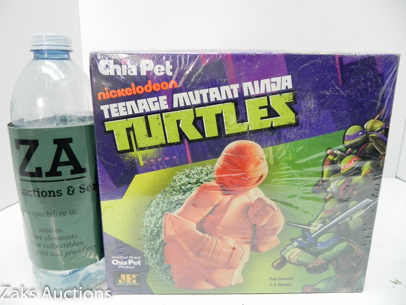 Sealed Nickelodeon Teenage Mutant Ninja Turles Chia Pet (TMNT)