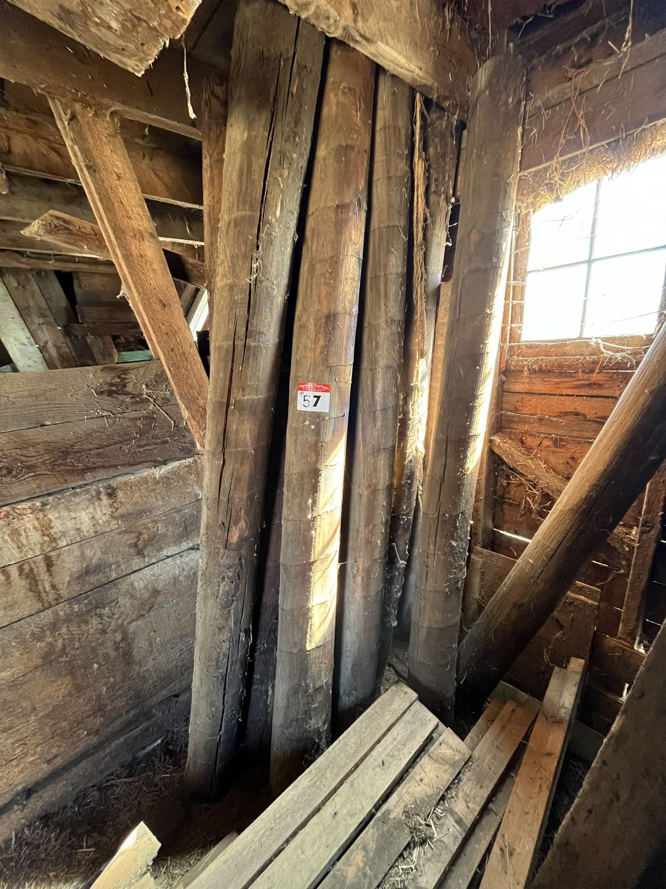 Pile of Posts, 8ft, Approx 12