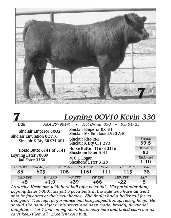 Lot 7: LOYNING 0OV10 KEVIN 330