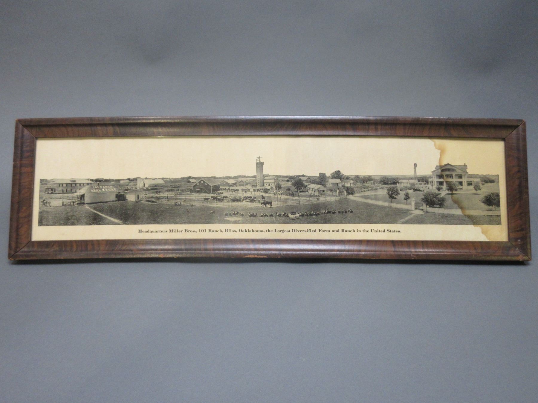 Original Panaramic Photo Of "Headquarters Millers Bros 101 Ranch Bliss ...