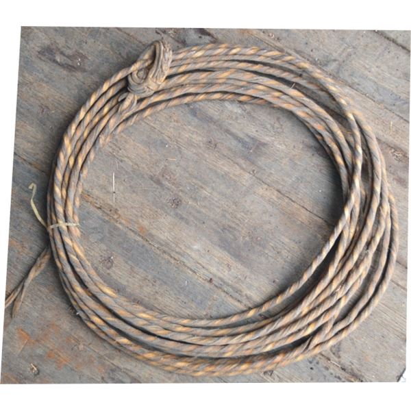twisted rawhide reata