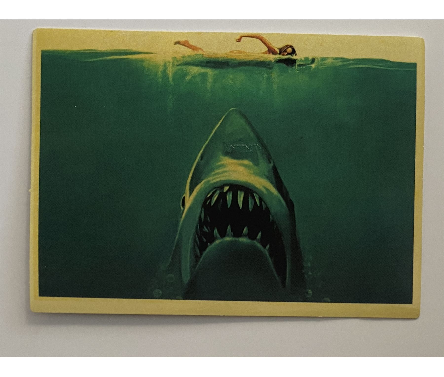 Jaws sticker