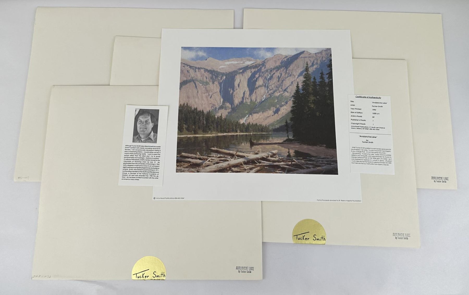 Tucker Smith Avalanche Lake Prints