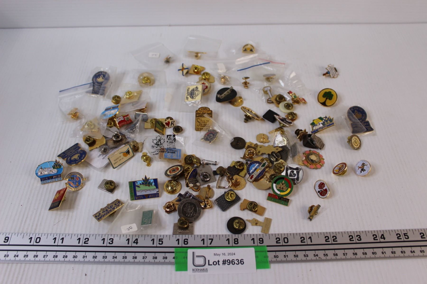 100+ Collector Pins: Various Themes - Bodnarus Auctioneering