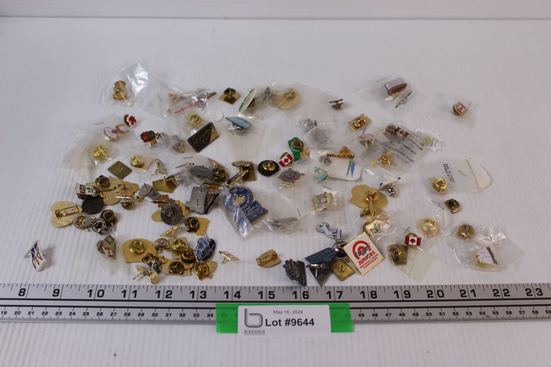 100+ Collector Pins: Various Themes - Bodnarus Auctioneering