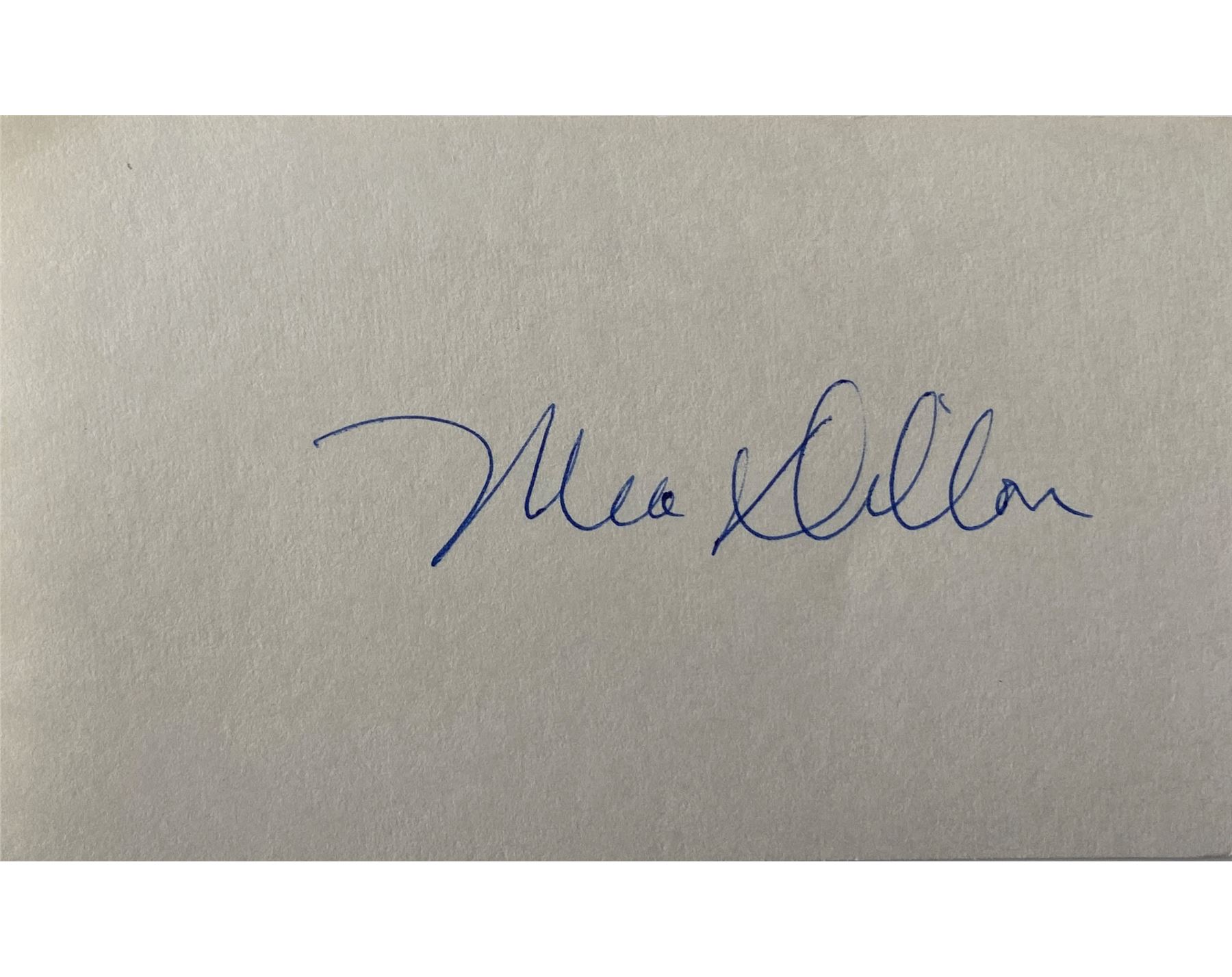 The Flamingo Kid Matt Dillon original signature