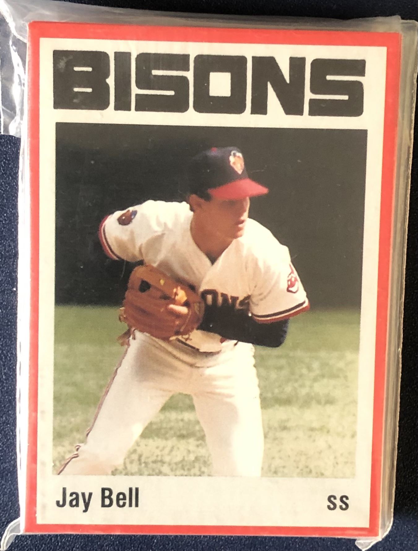 1987 BUFFALO BISONS TEAM SET