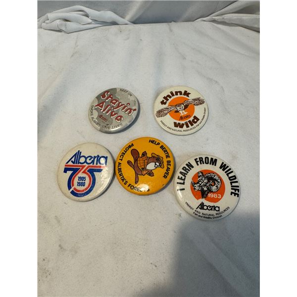 Assorted badges