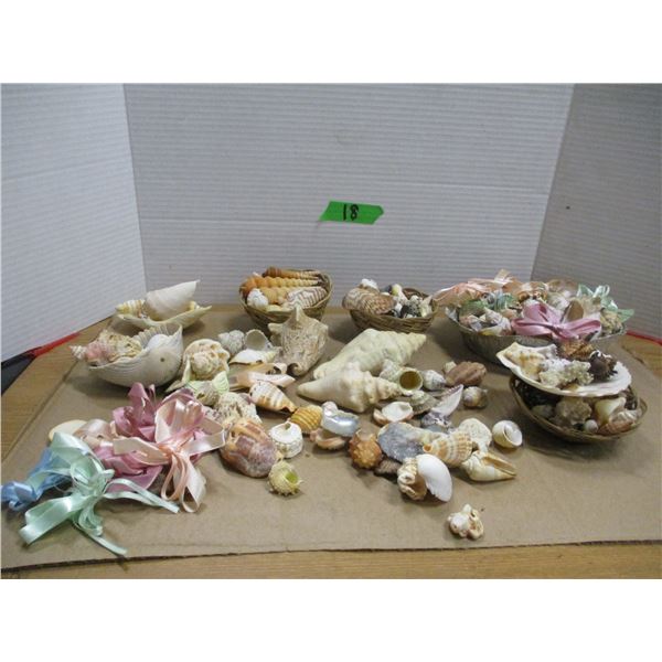 ESTATE: BOX C/W ASSORTED SEA SHELLS