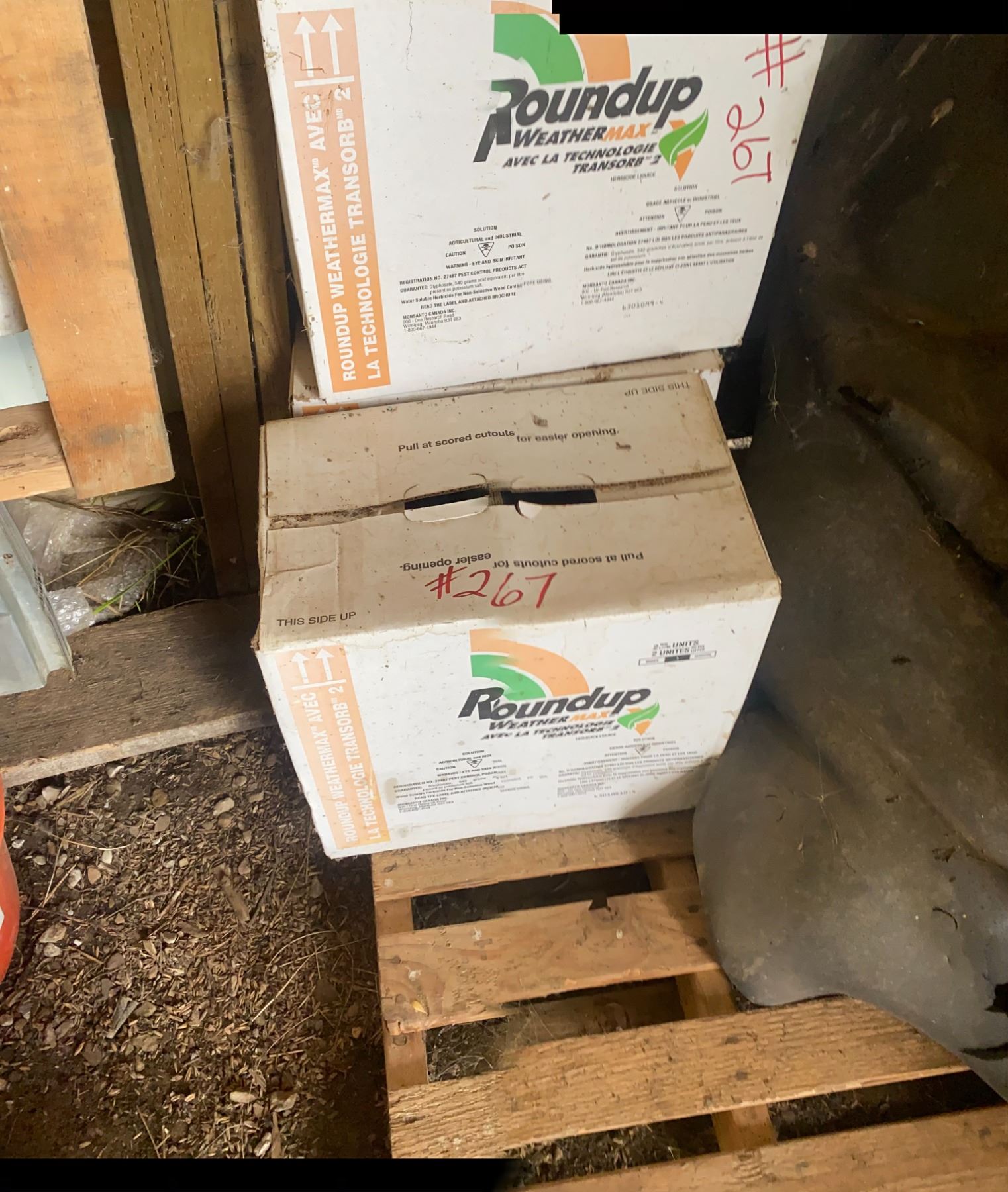 3- Boxes of Roundup (selling all together)