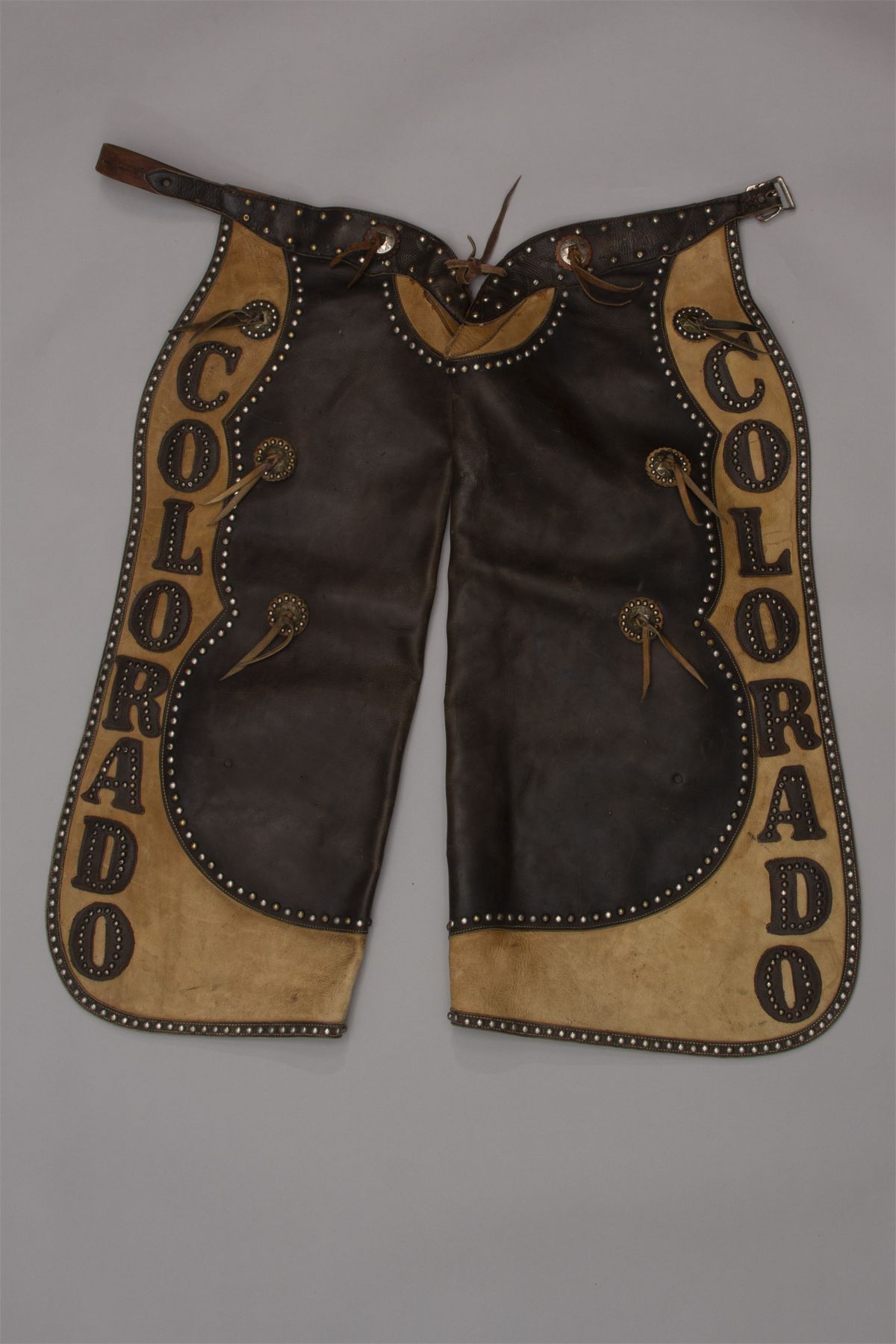F. Mueller "COLORADO" Studded Batwing Chaps