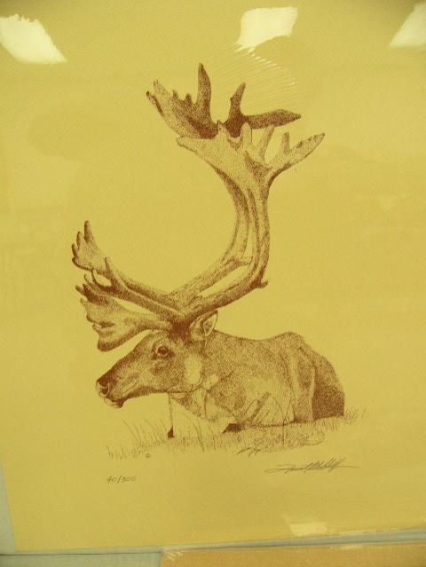 Lot of 15 shrink wrapped prints: Steve Hillyer "The Mt. McKinley Route ...