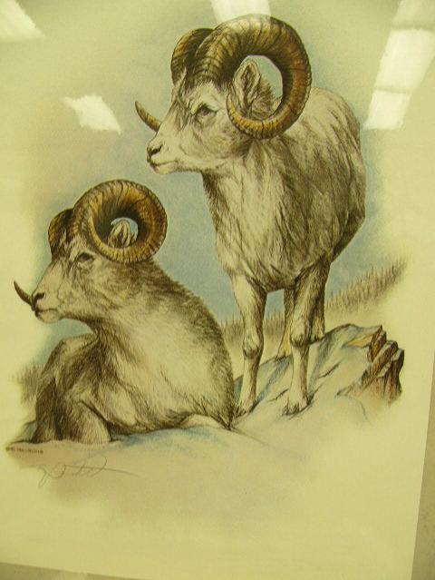 Lot of 15 shrink wrapped prints: Steve Hillyer "The Mt. McKinley Route ...