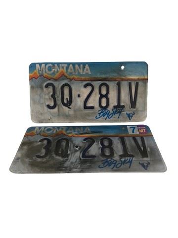 Father Bill Long (Mel Gibson) License Plates Movie Props