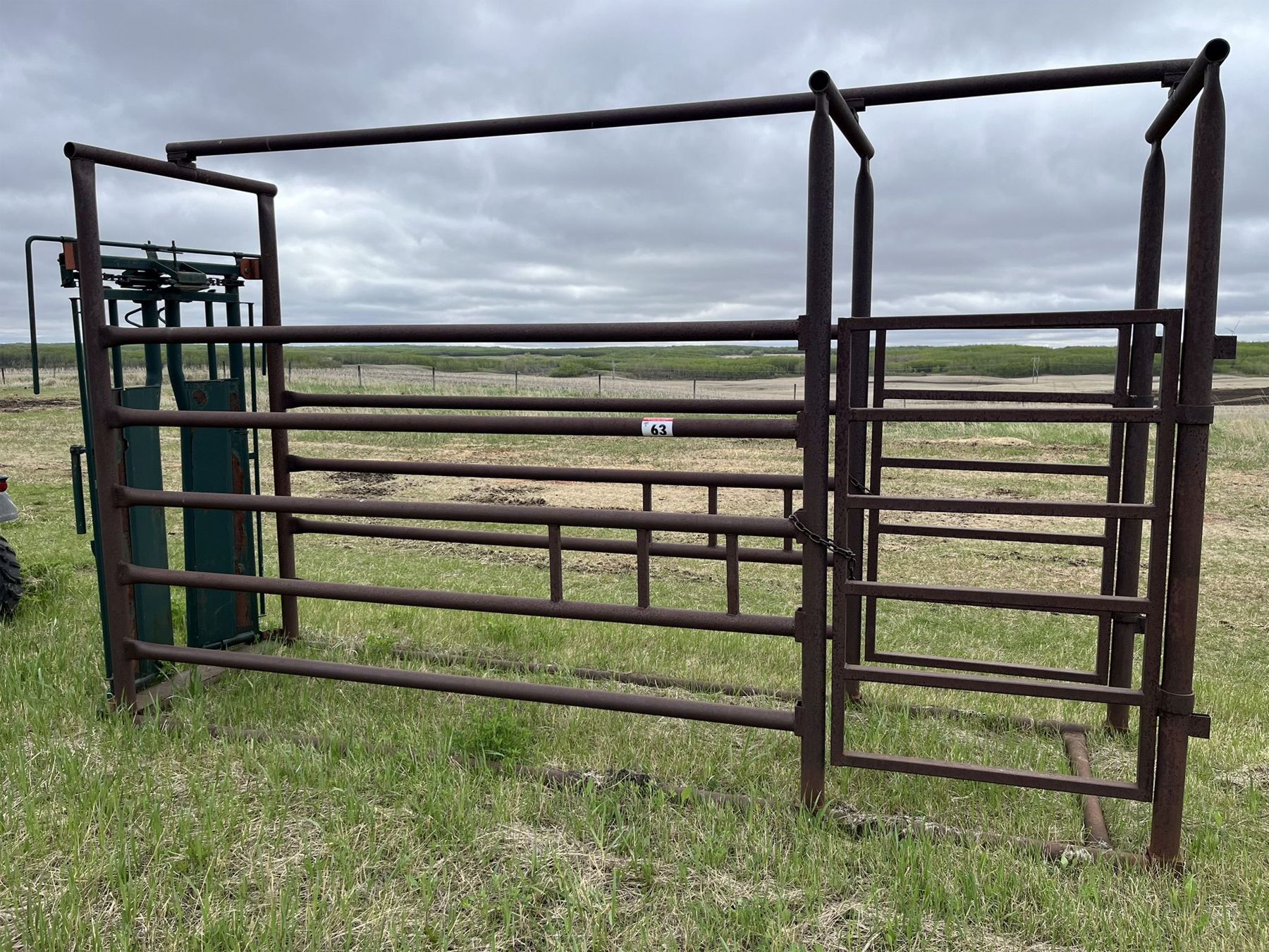 Head Gate with Palpation Doors