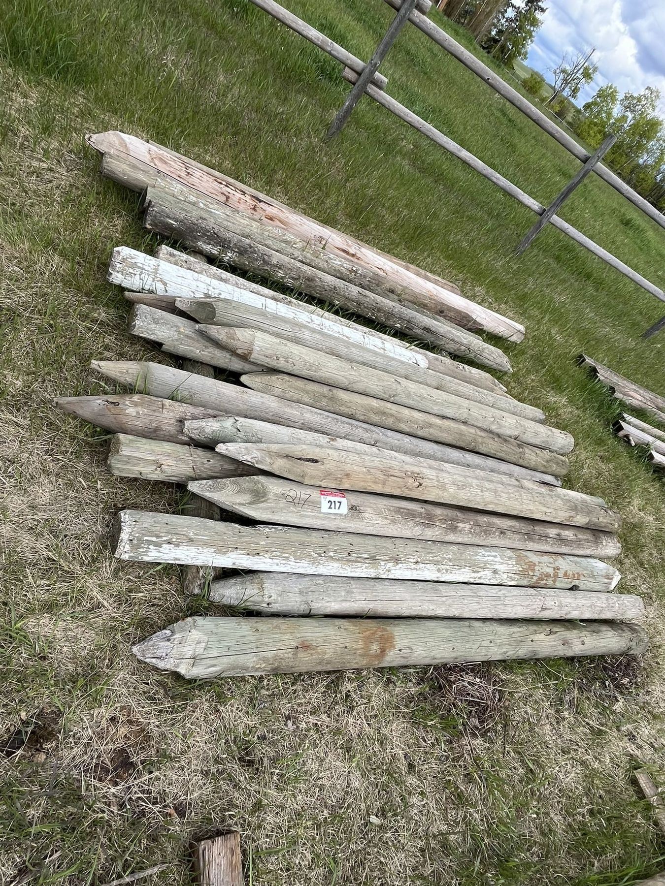 21 - 5-7in. X 7-8ft Length 7-8inch Sharpened Treated Posts