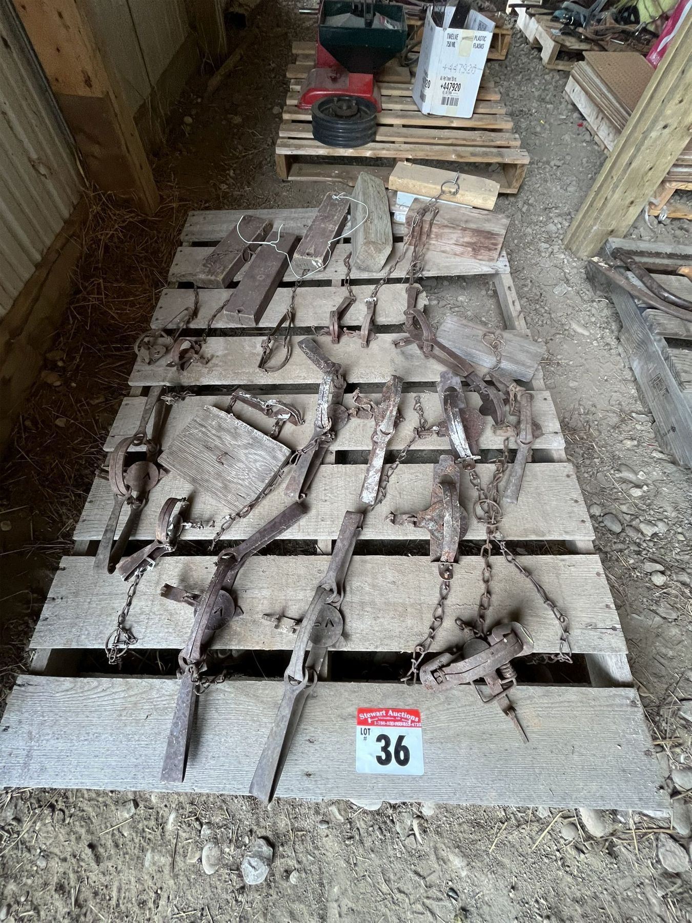 Misc Leg Traps (approx 18 of various sizes