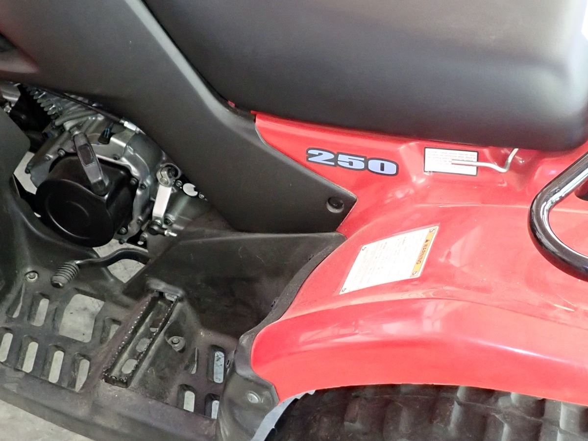 Suzuki Ozark 250cc ATV