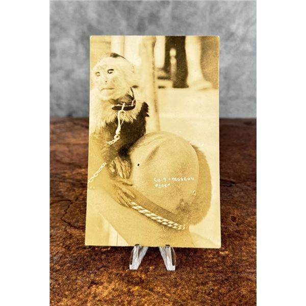 WWI WW1 Monkey Company Mascot RPPC Postcard