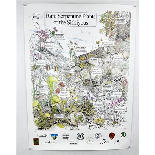 US Forest Service Poster