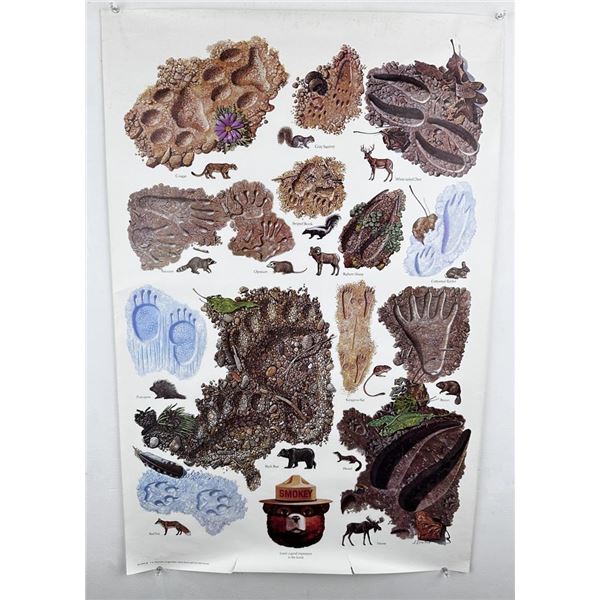 US Forest Service Poster