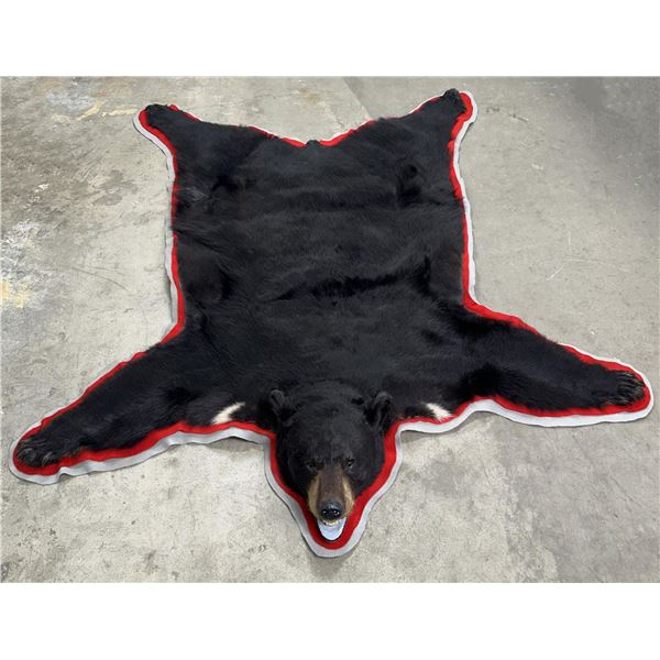 Montana Taxidermy Black Bear Rug