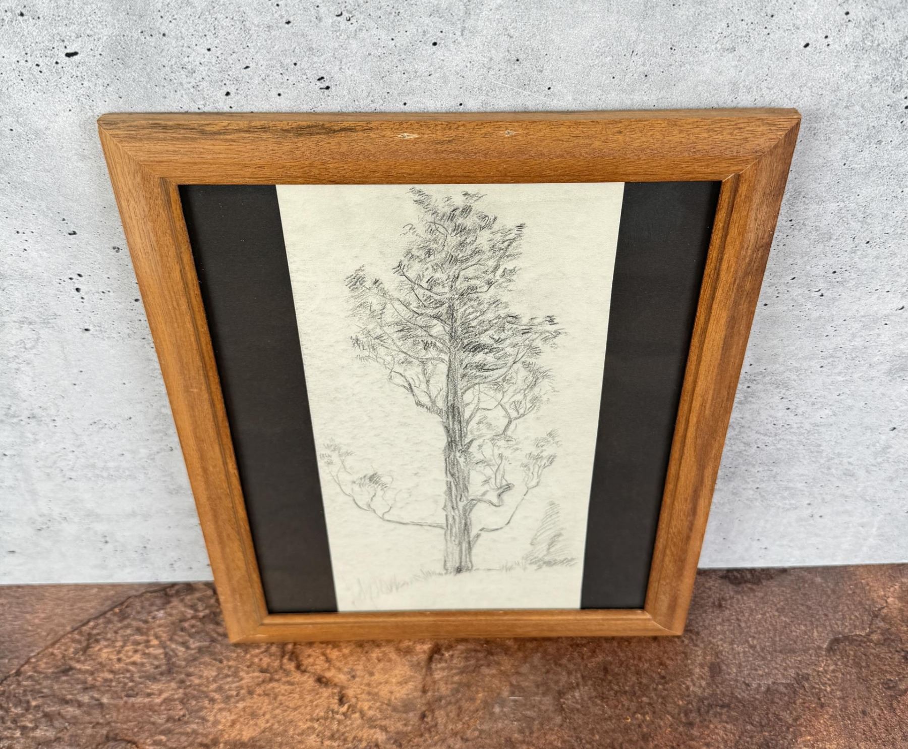 Olaf Carl Seltzer Montana Tree Pencil Drawing
