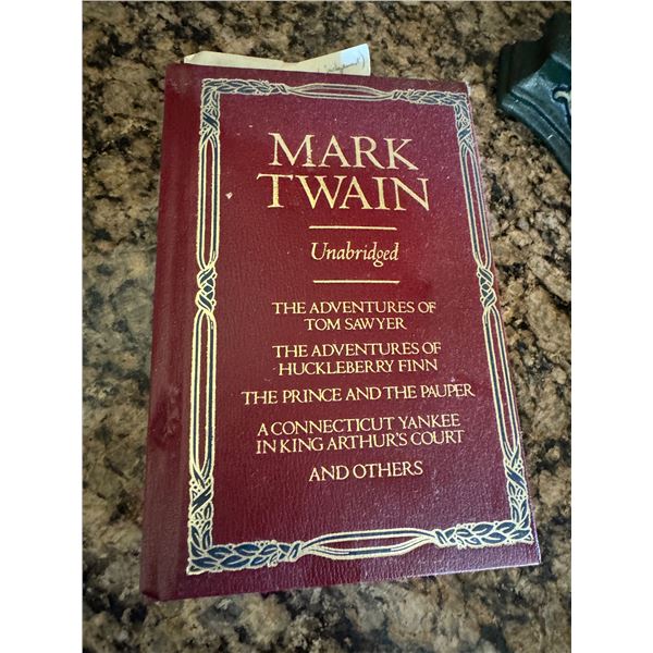 Mark Twain book