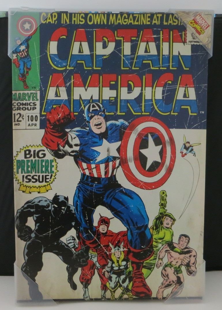 Marvel Comics Captain America Ready To Hang 24" x 16" NEW