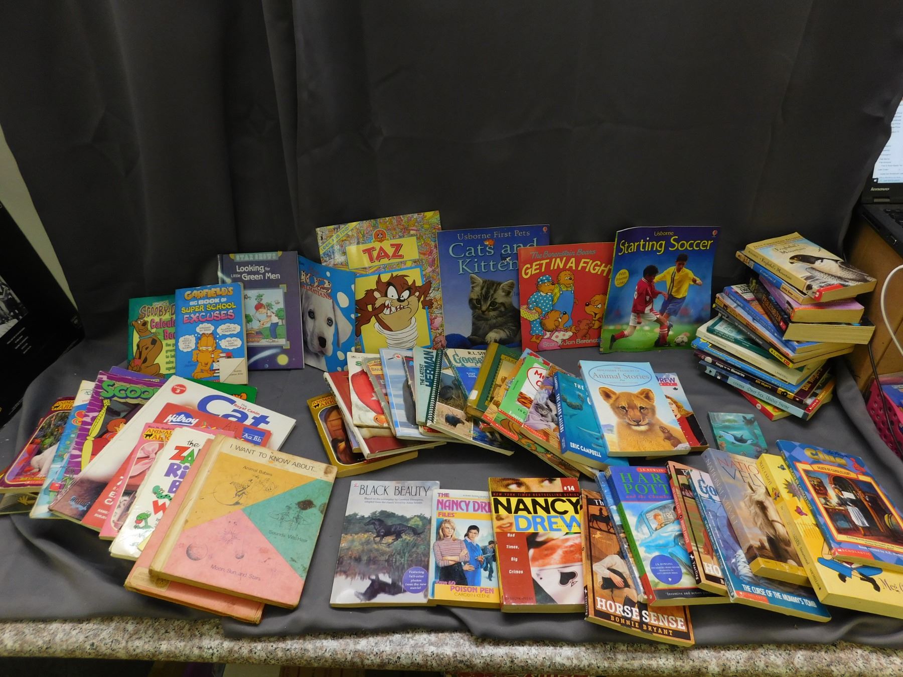 Large Lot Of Assorted Kids Books