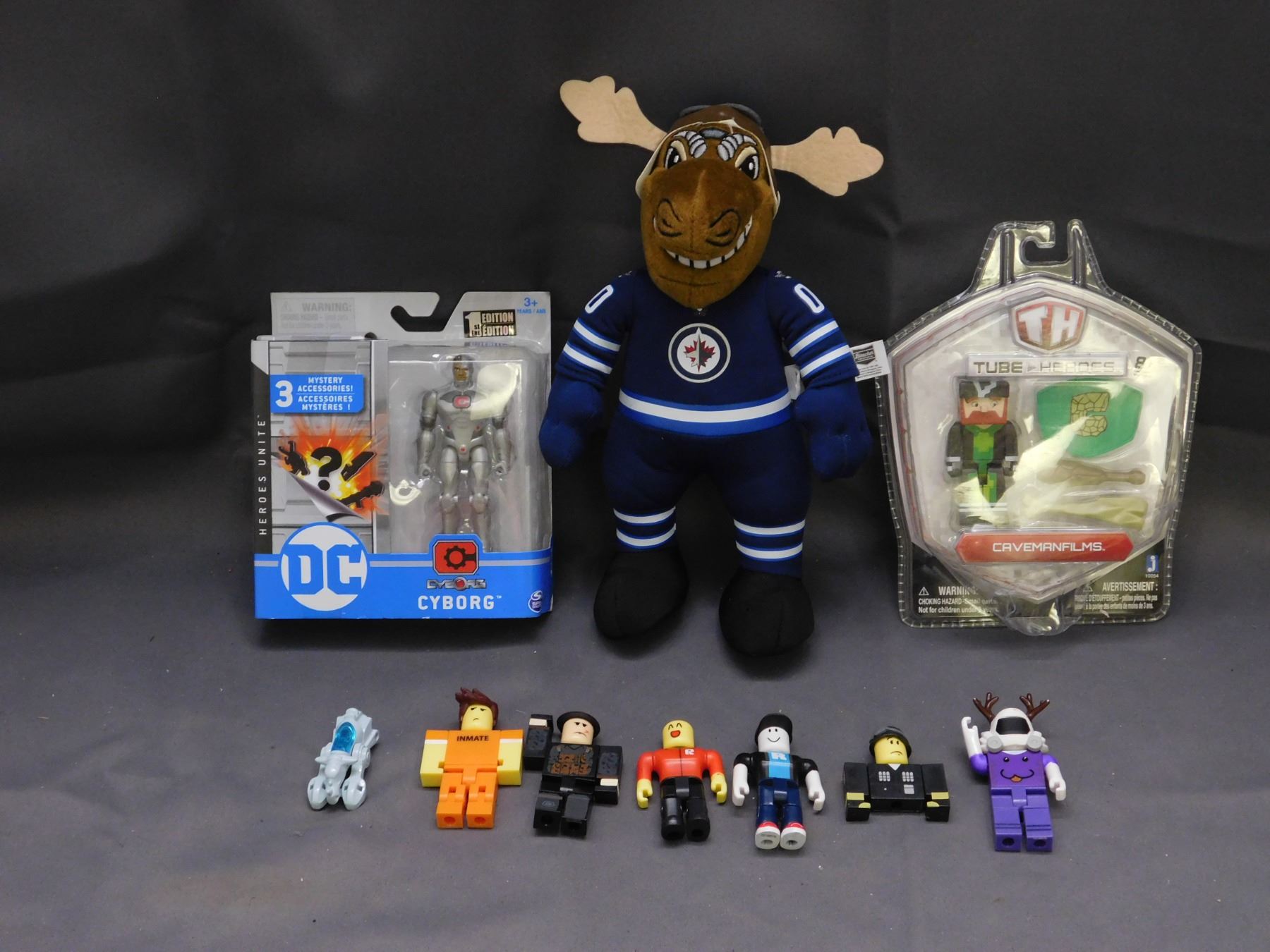 Lot of Assorted Toys Roblox, Winnipeg Jets Plush, Tube Heroes, DC ...