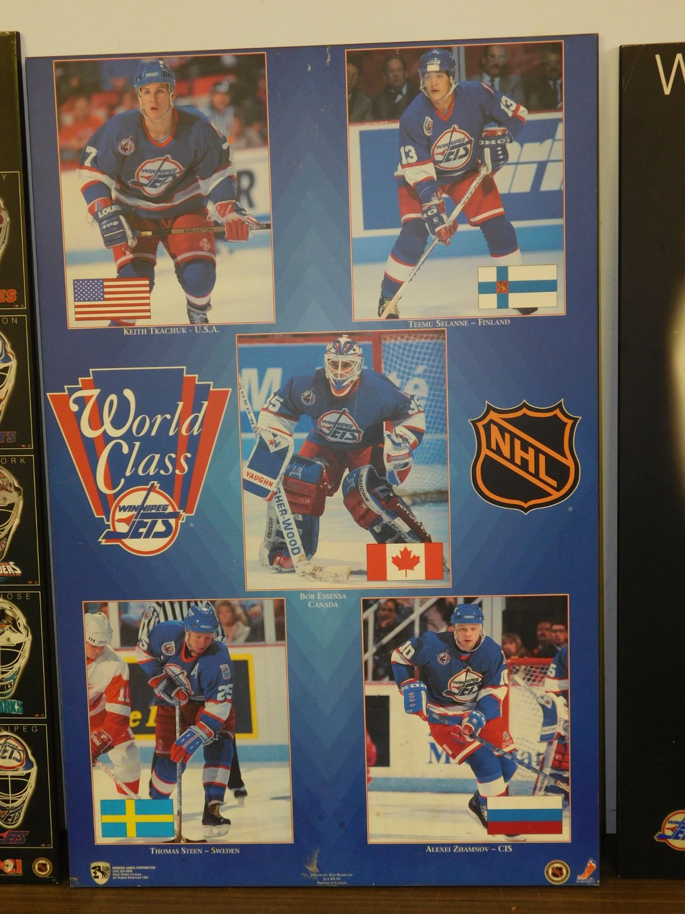 World Class NHL Teams Wood Board Wall Poster 20" x 32"