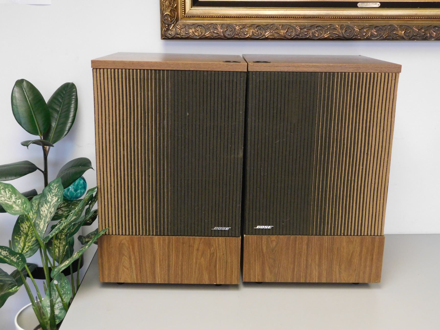 Bose Floor Speakers Model 501